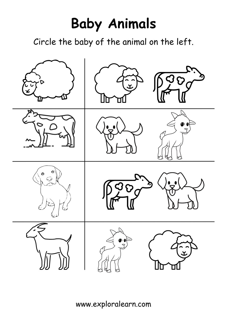 Animals And Babies Worksheets For Preschool And Kindergarten 2 To 6