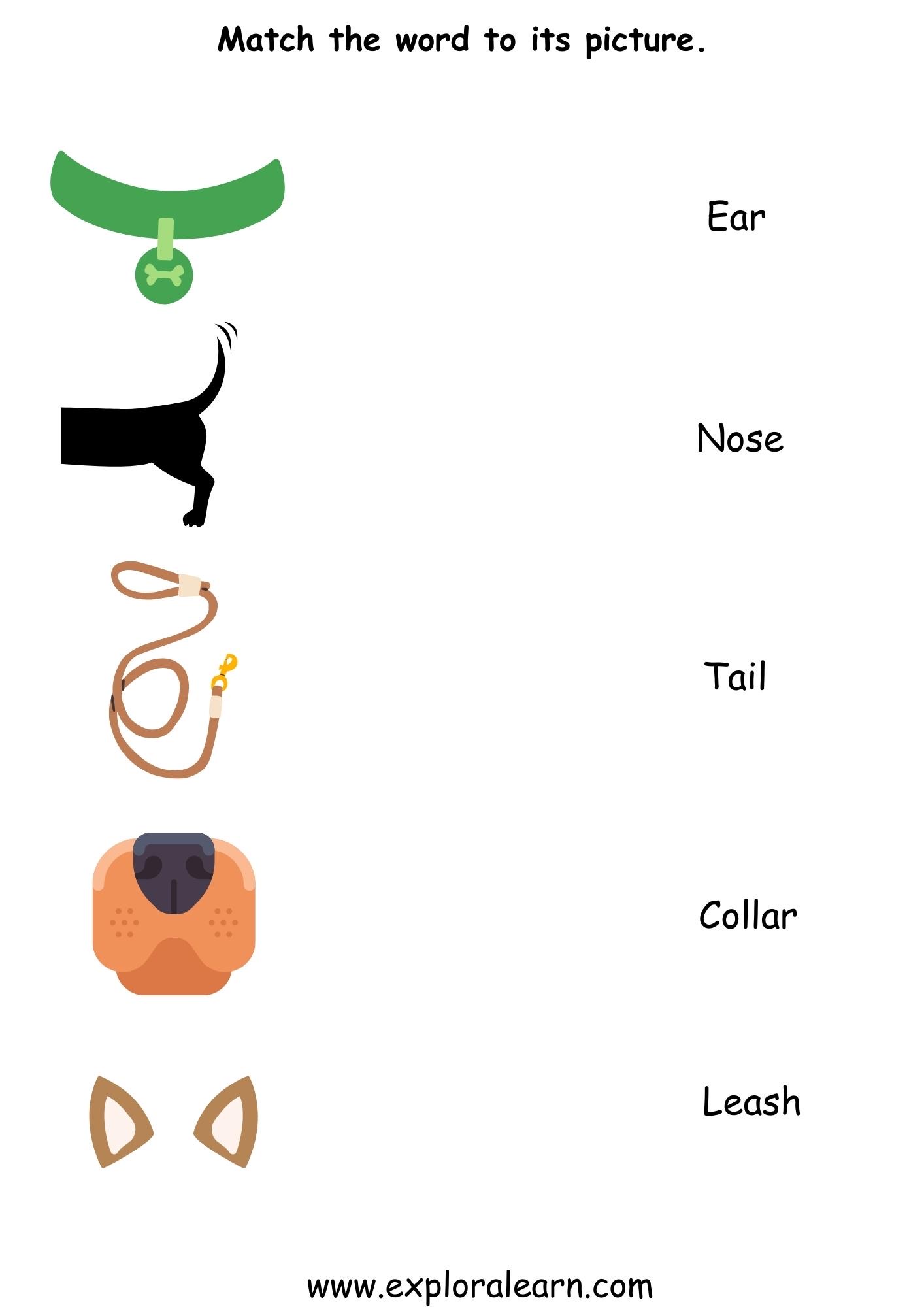 Pet Words