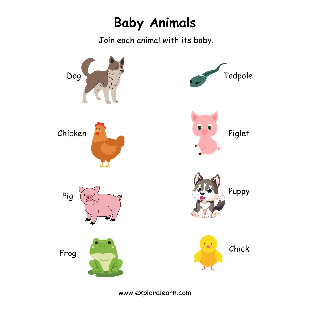 Free Exploralearn Worksheets, Animals Worksheets,Animals and Babies