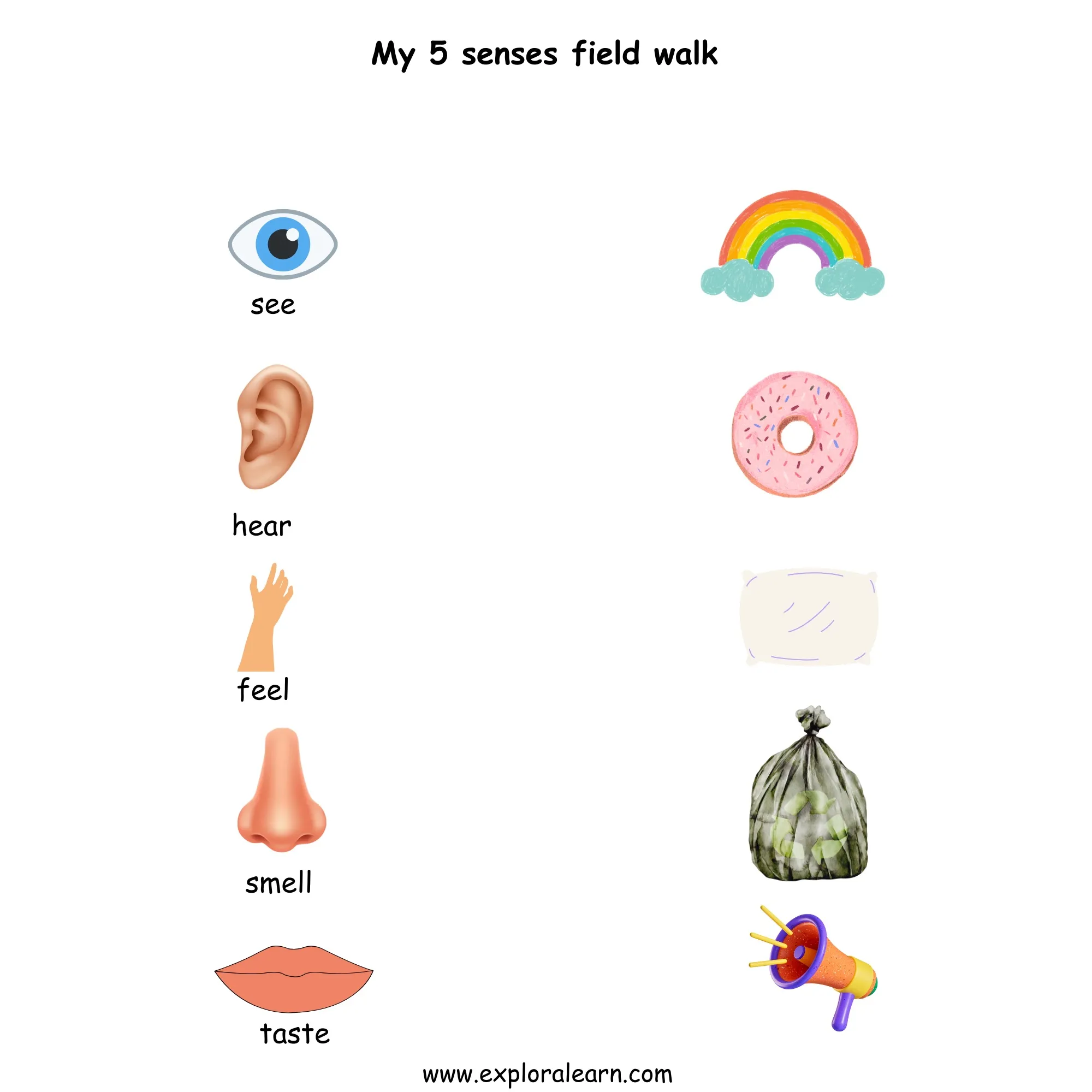 Free Exploralearn Worksheets Human Body Sense Organs