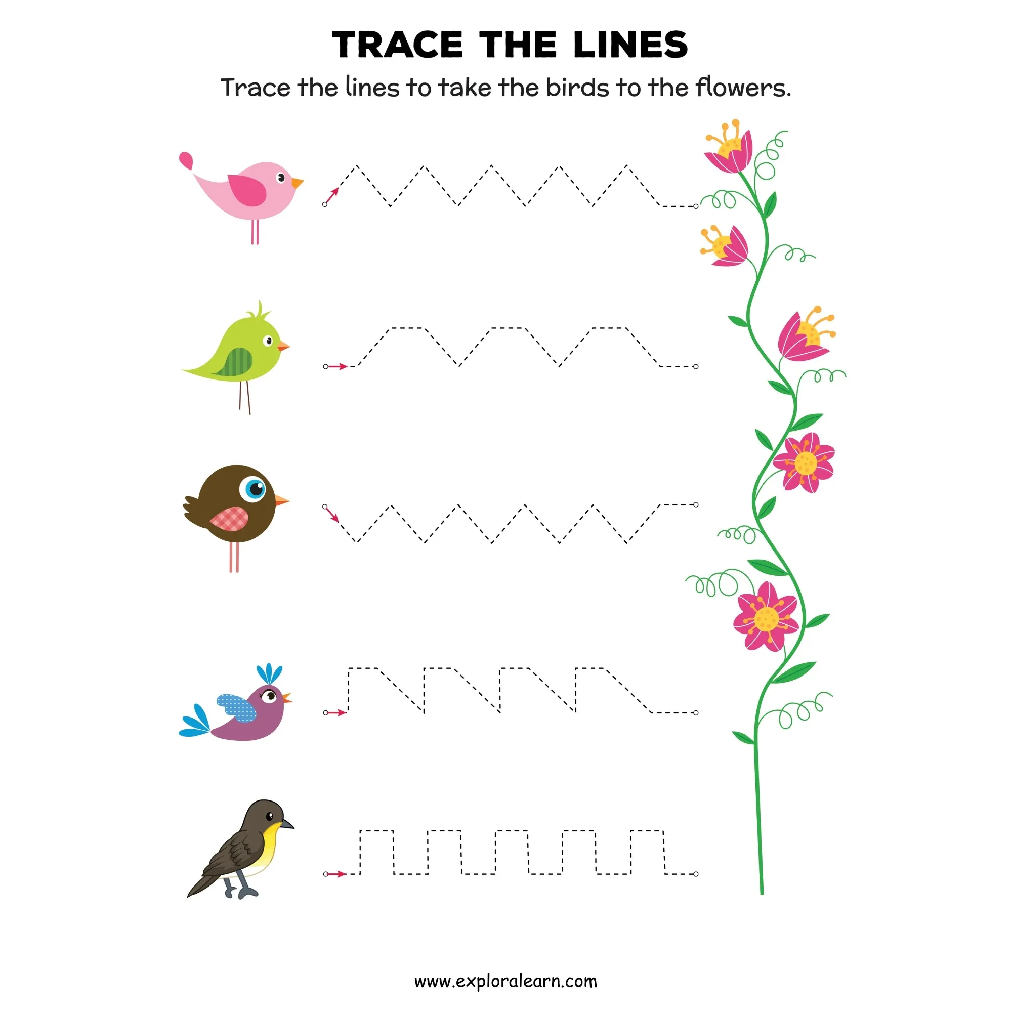 Free Exploralearn Worksheets, Mix Lines Practice worksheet.