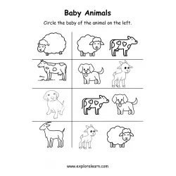 Free Exploralearn Worksheets, Animals Worksheets,Animals and Babies