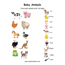 Free Exploralearn Worksheets, Animals Worksheets,Animals and Babies
