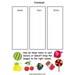 Free Exploralearn Worksheets, Food Taste