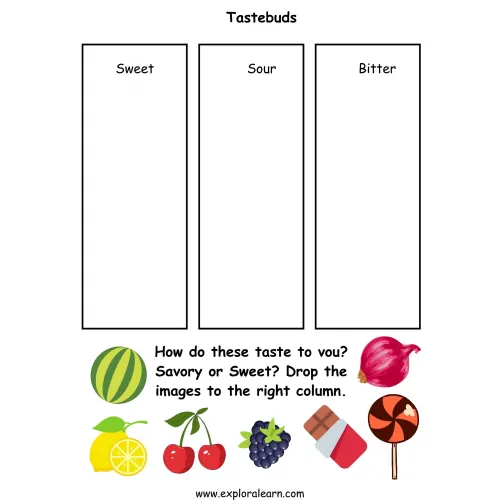 Free Exploralearn Worksheets, Food Taste